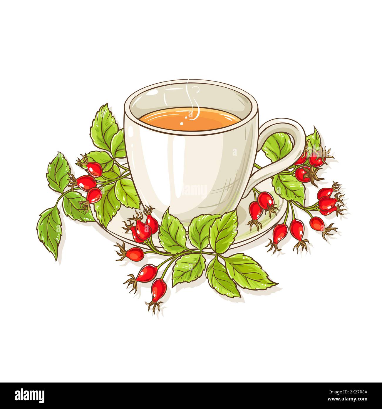 wild rose tea illustration Stock Photo - Alamy