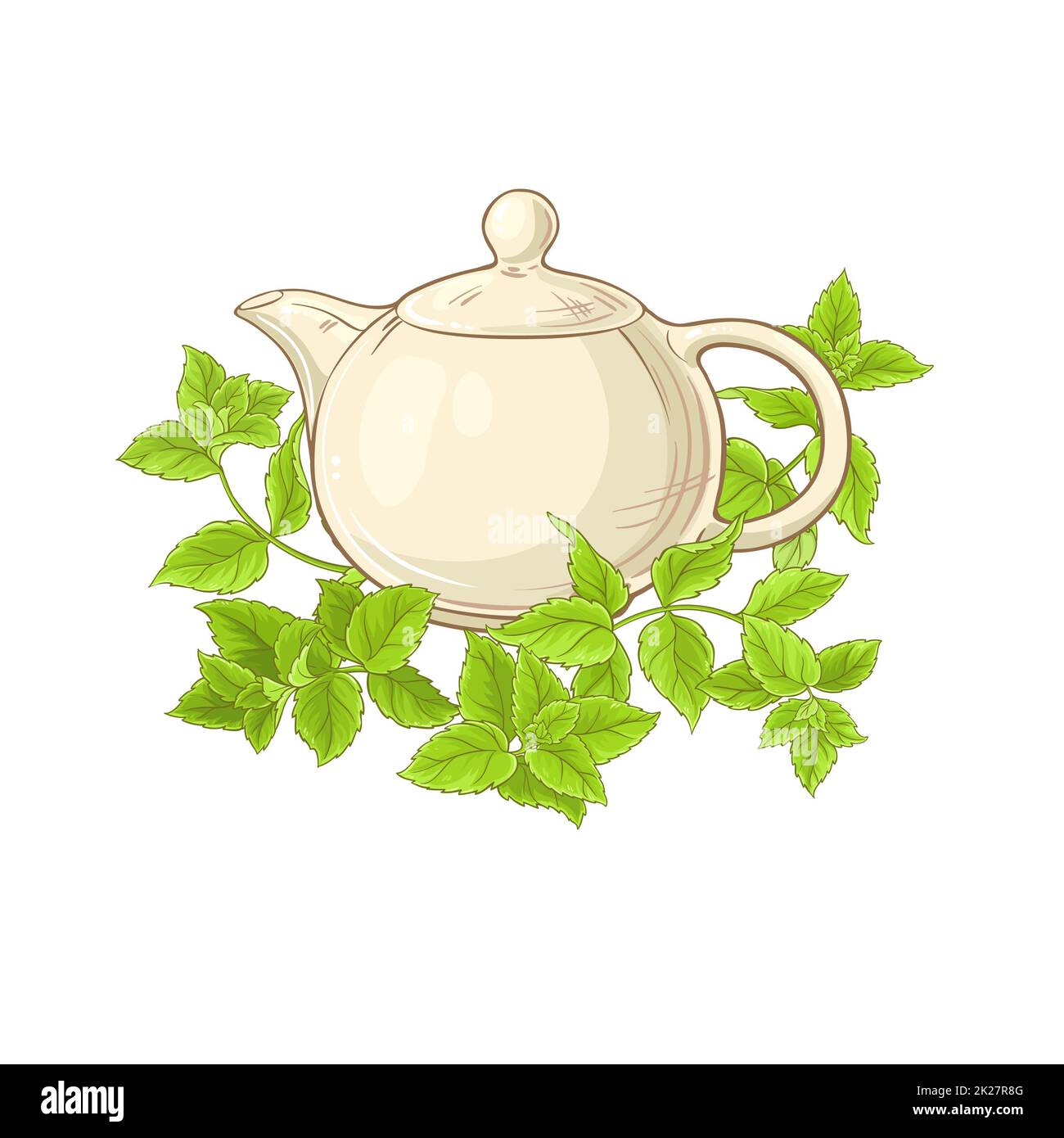 peppermint tea vector Stock Photo - Alamy