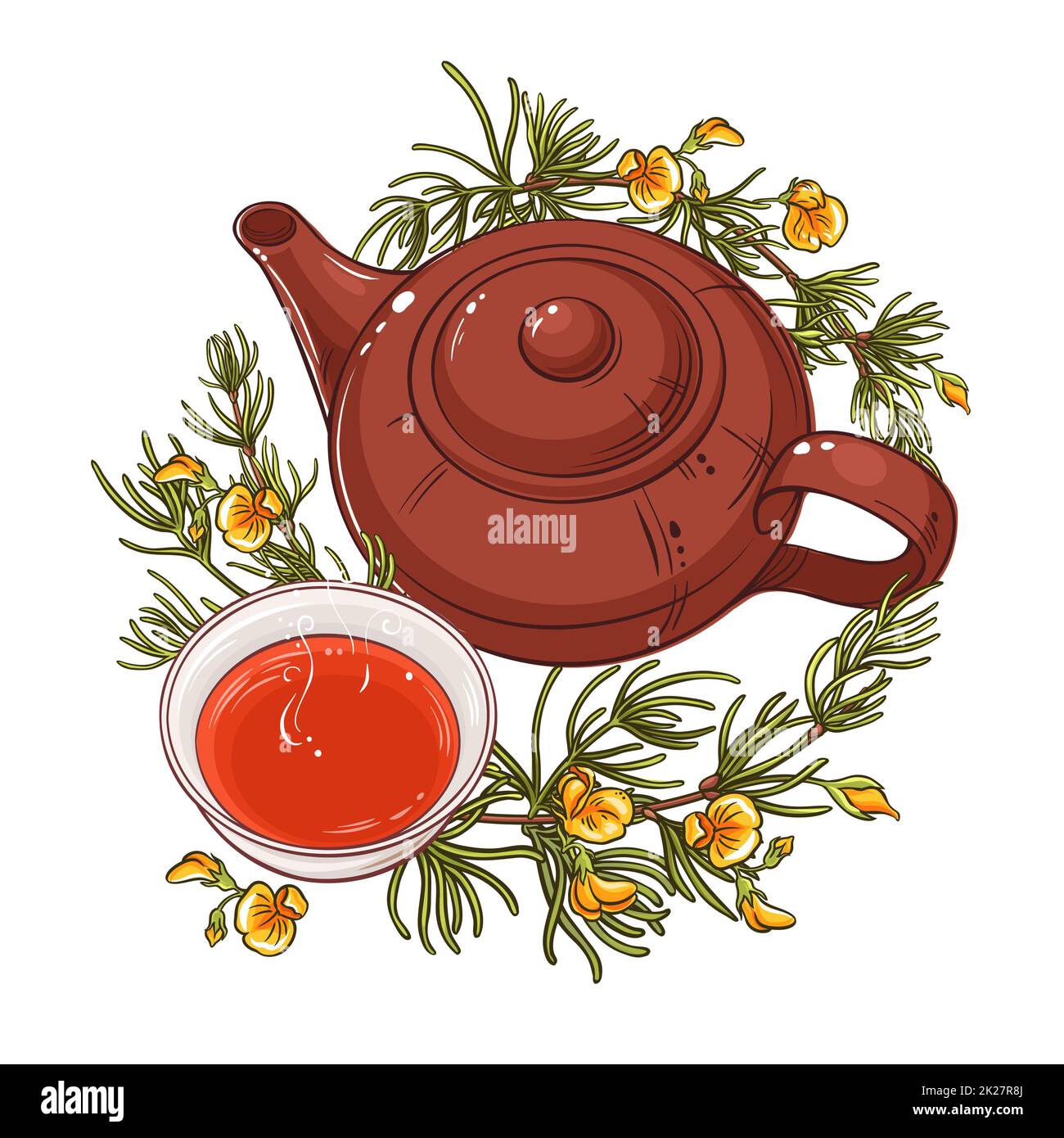 Rooibos plant hi-res stock photography and images - Alamy