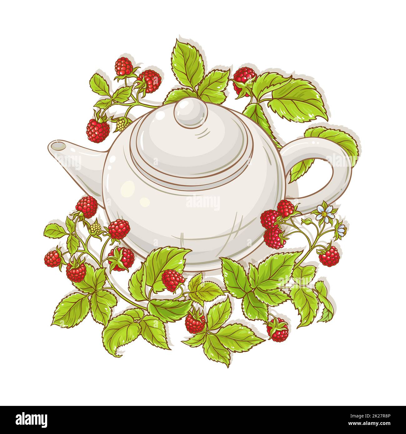 raspberry tea illustration Stock Photo - Alamy