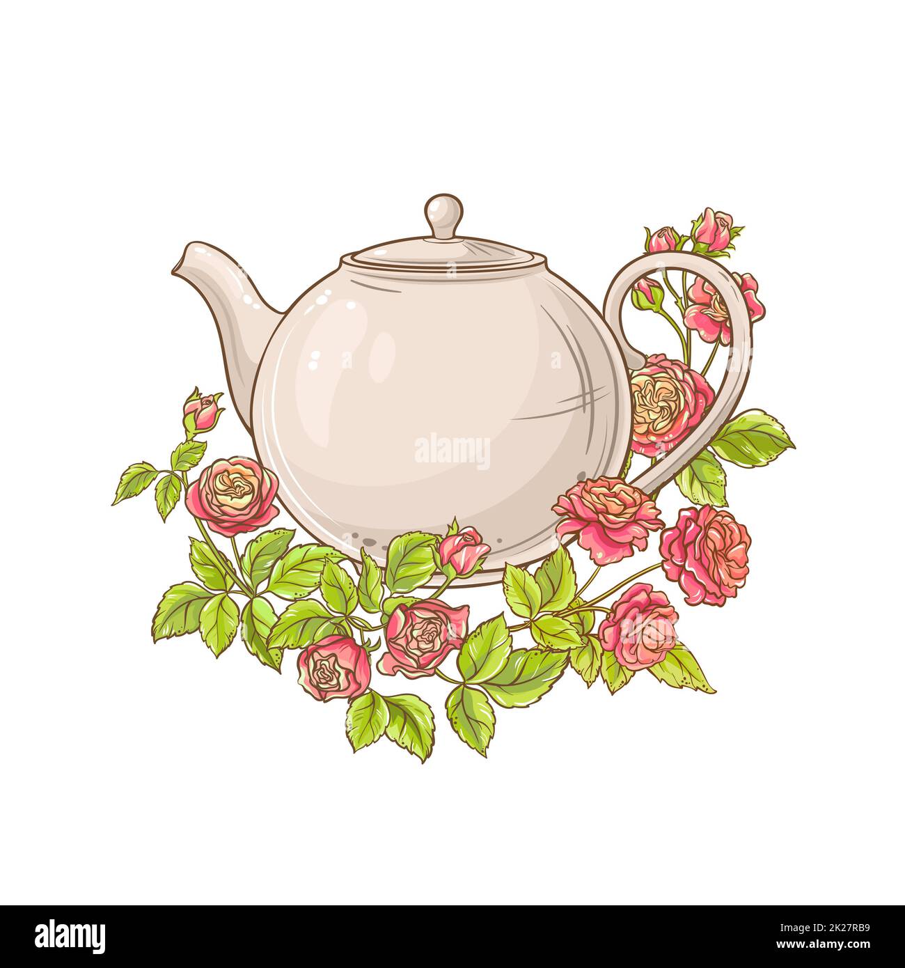 rose tea vector illustration on white background Stock Photo - Alamy