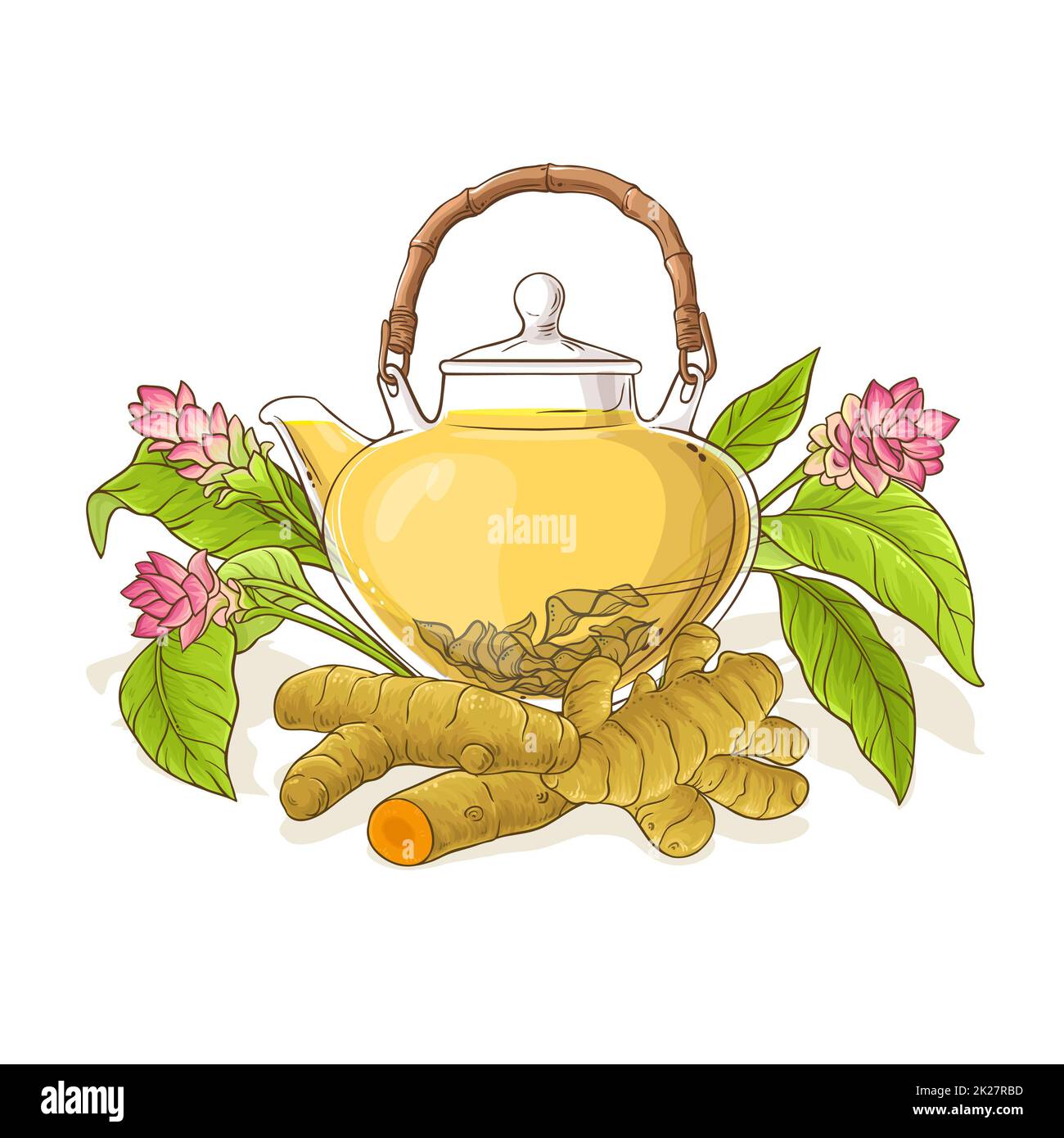 Turmeric plant pot hi-res stock photography and images - Alamy