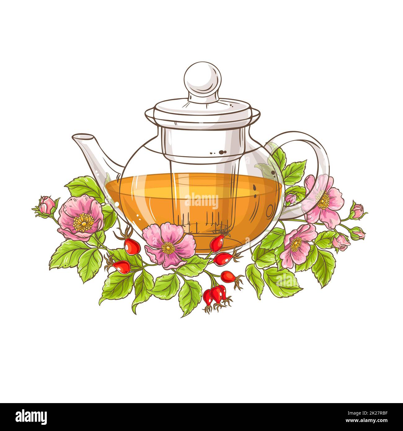 wild rose tea illustration on white background Stock Photo - Alamy