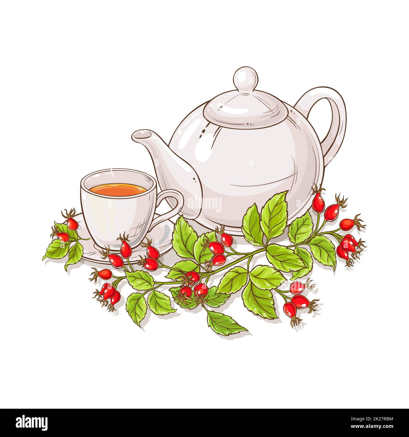 wild rose tea illustration on white background Stock Photo - Alamy