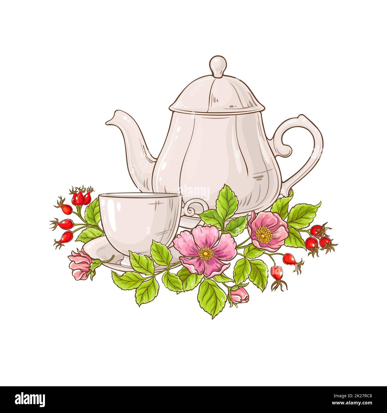 wild rose tea illustration on white background Stock Photo - Alamy