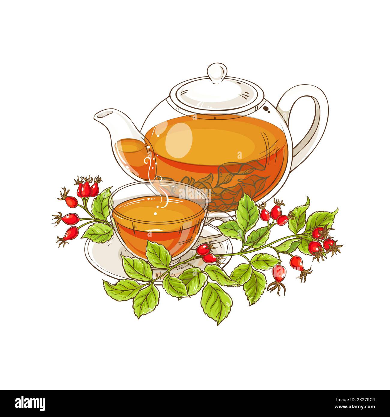 wild rose tea illustration on white background Stock Photo - Alamy