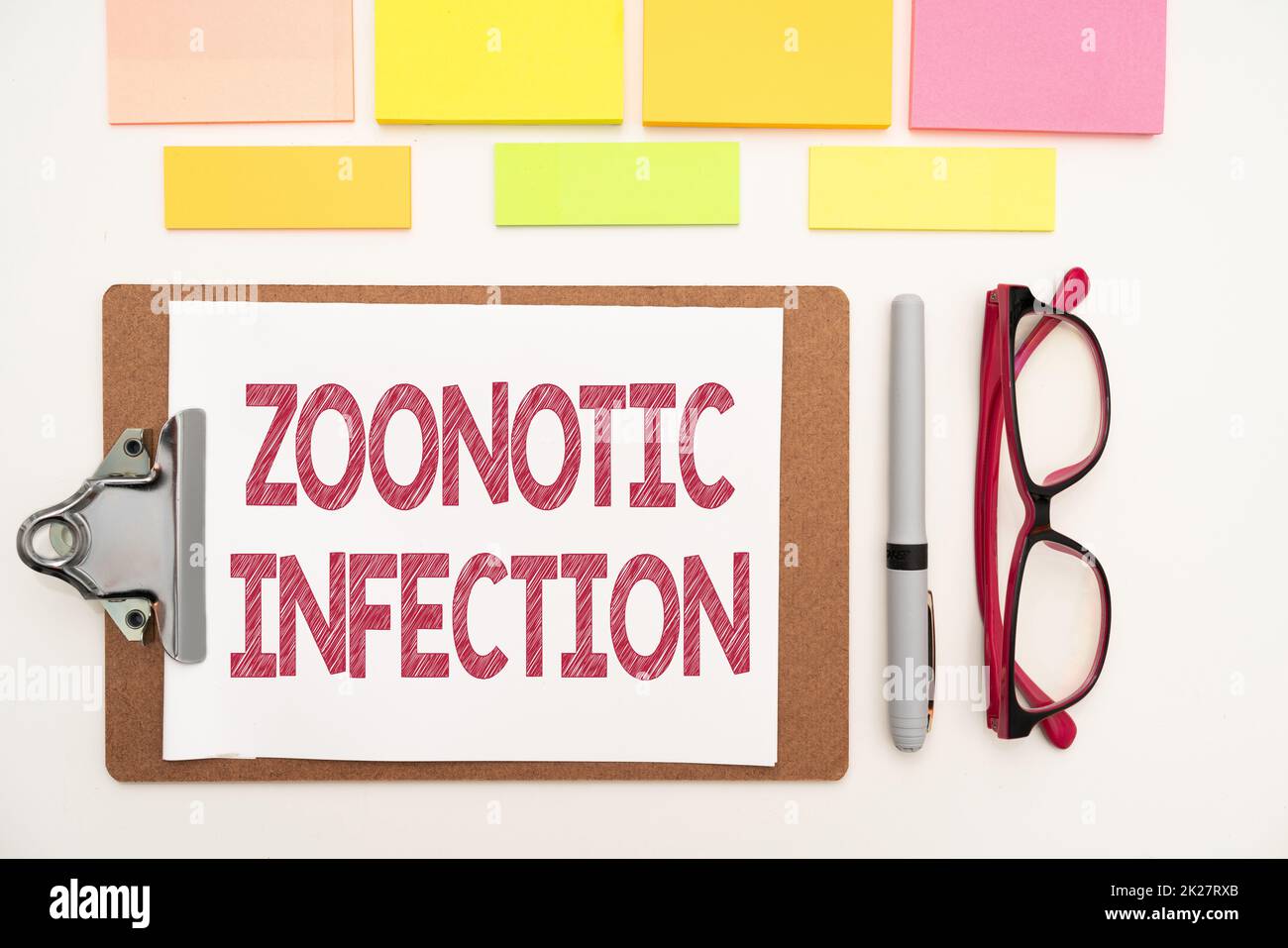 Writing displaying text Zoonotic Infection. Business concept ...