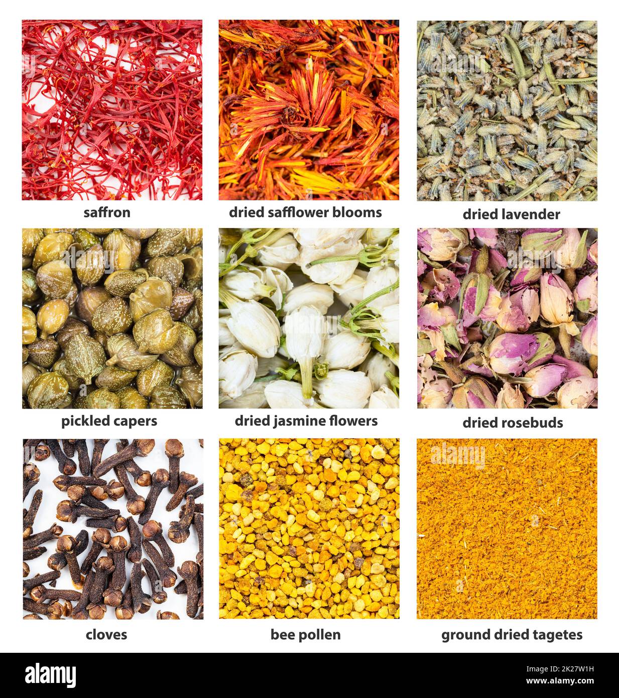 Close up of rosebud Cut Out Stock Images & Pictures - Alamy