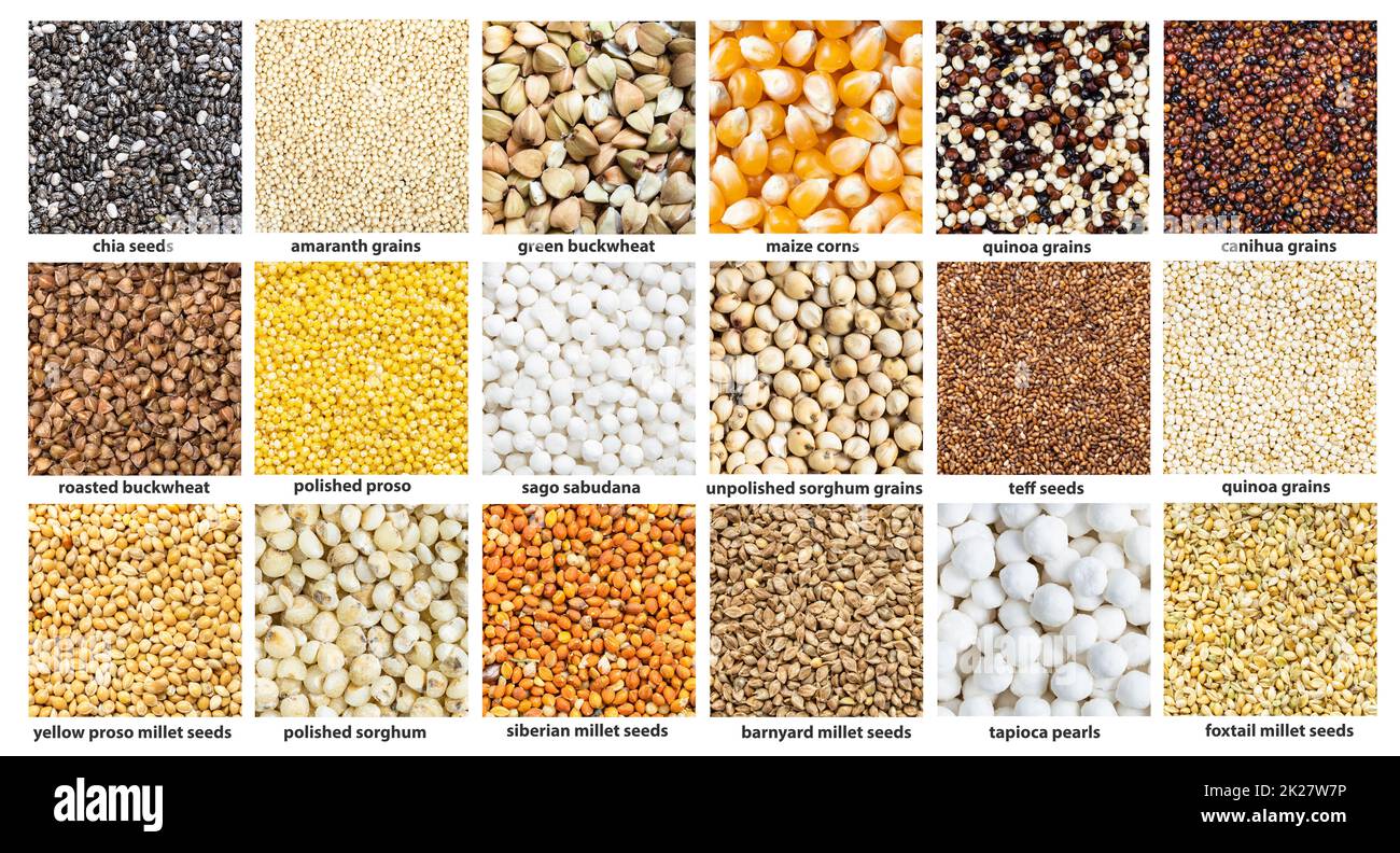 various small grains with names close up Stock Photo - Alamy