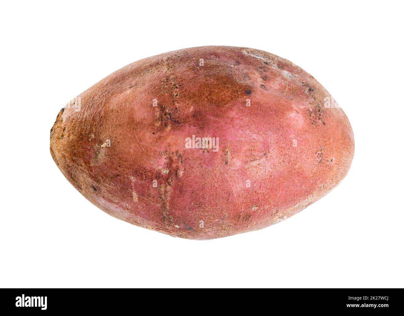 whole tuber of sweet potato isolated on white Stock Photo - Alamy