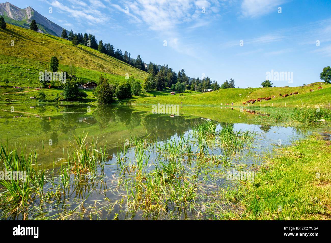 Confins hi-res stock photography and images - Alamy