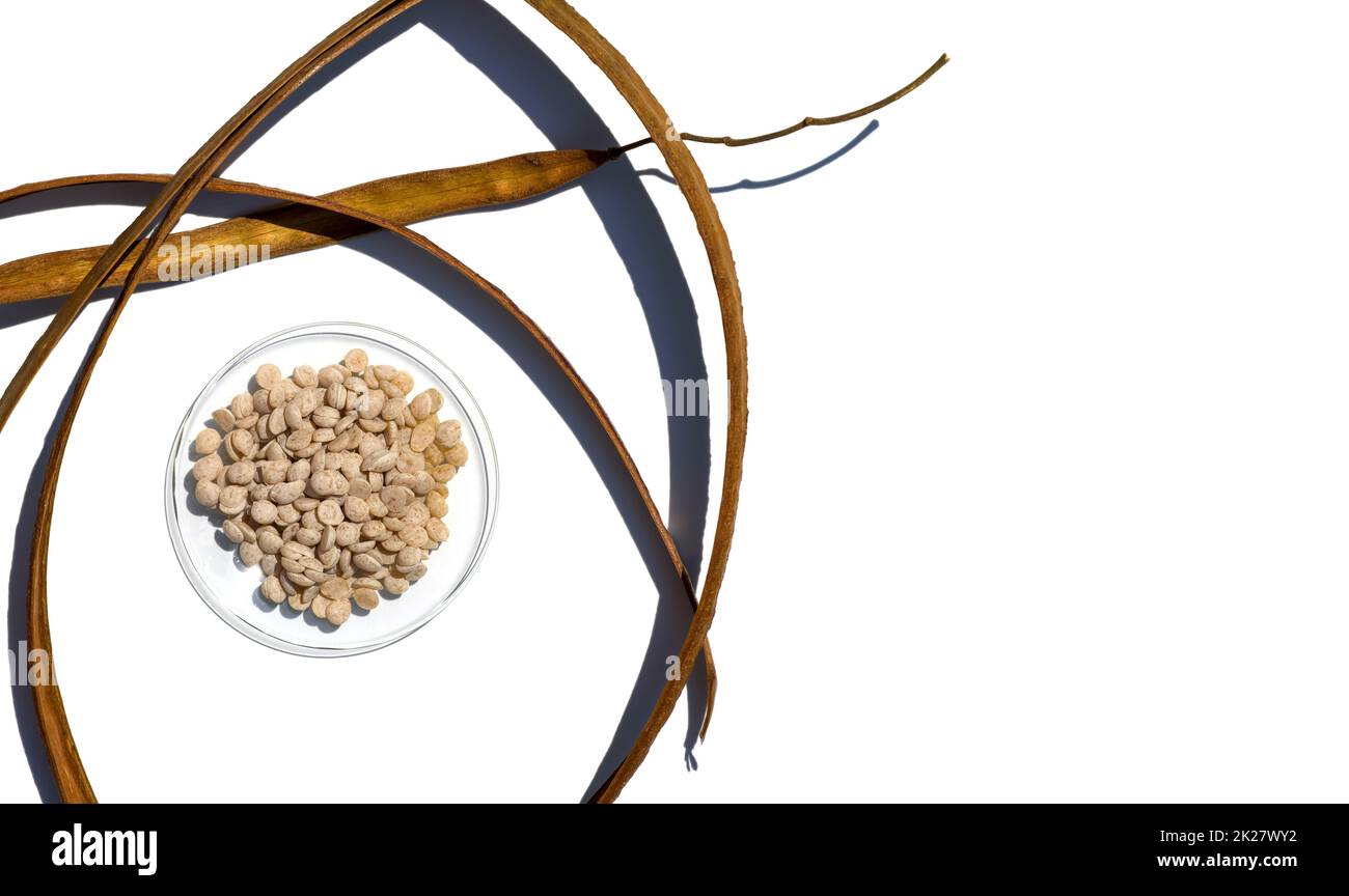 Cosmetic Chemical in chemical watch glass. Sumac Wax is a natural ...