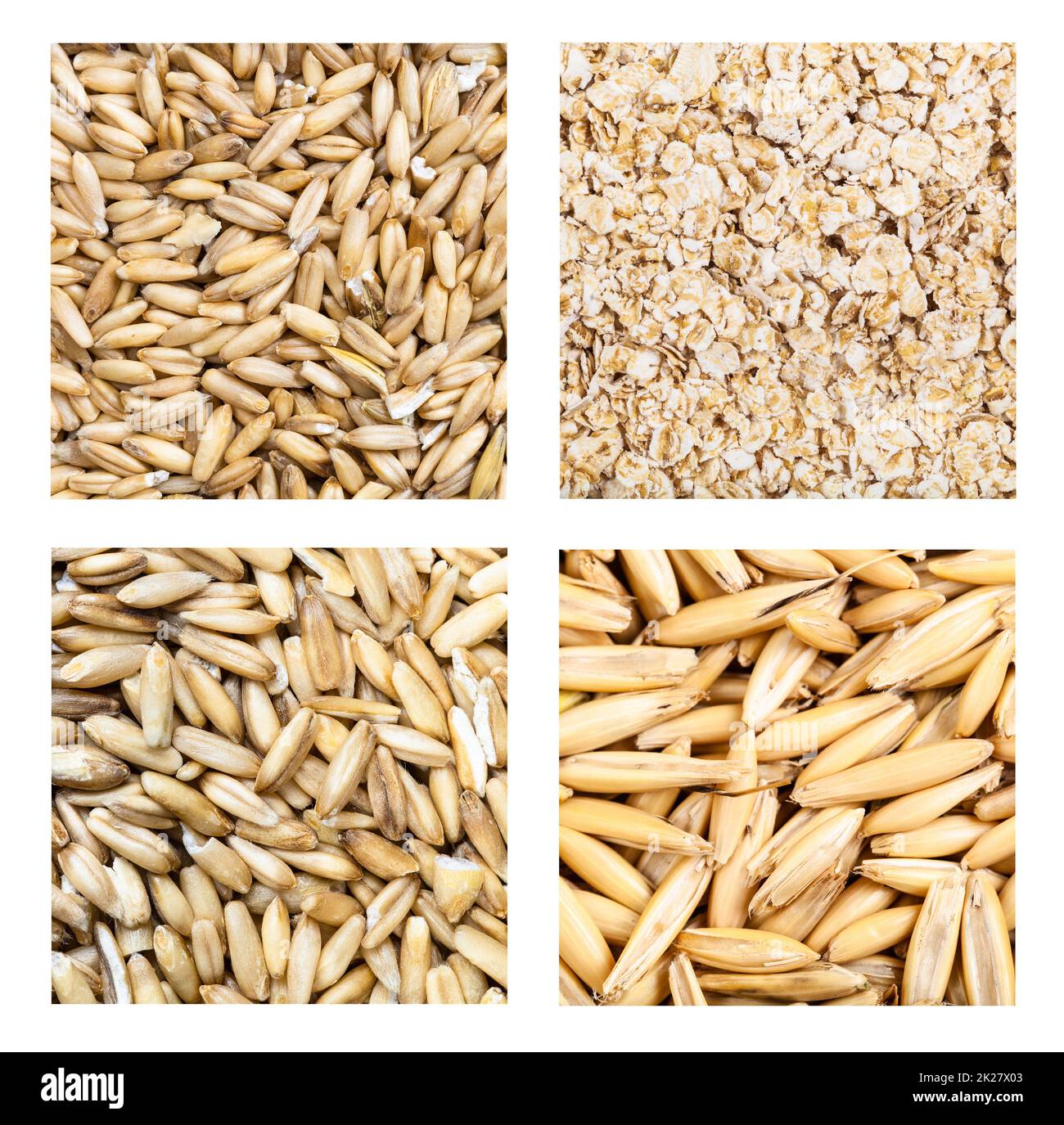 food background - various oat seeds close up Stock Photo - Alamy