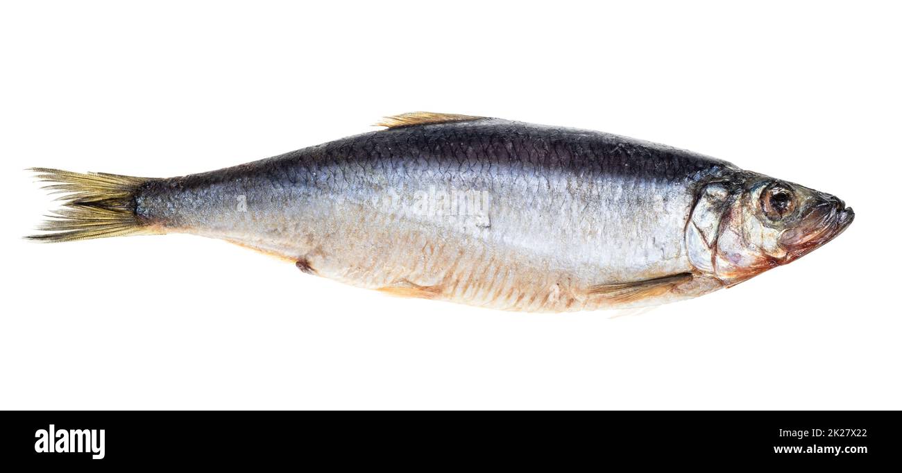 frozen pacific herring isolated on white Stock Photo - Alamy