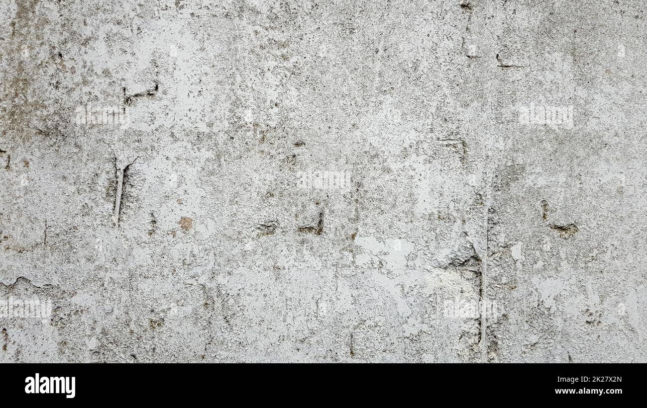 Beautiful concrete background with wood texture. Concrete wall flooring ...