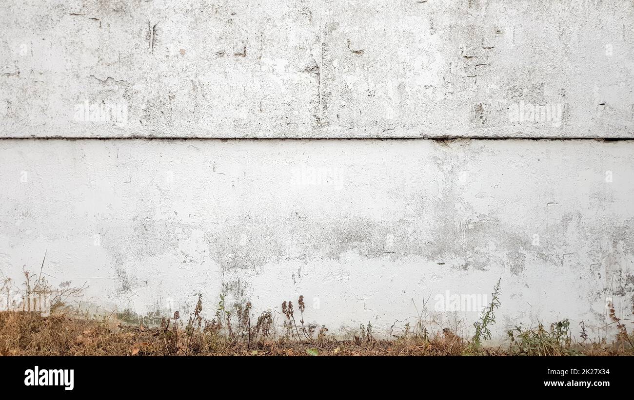 green grass on a gray concrete wall background, uneven wall surface and ...