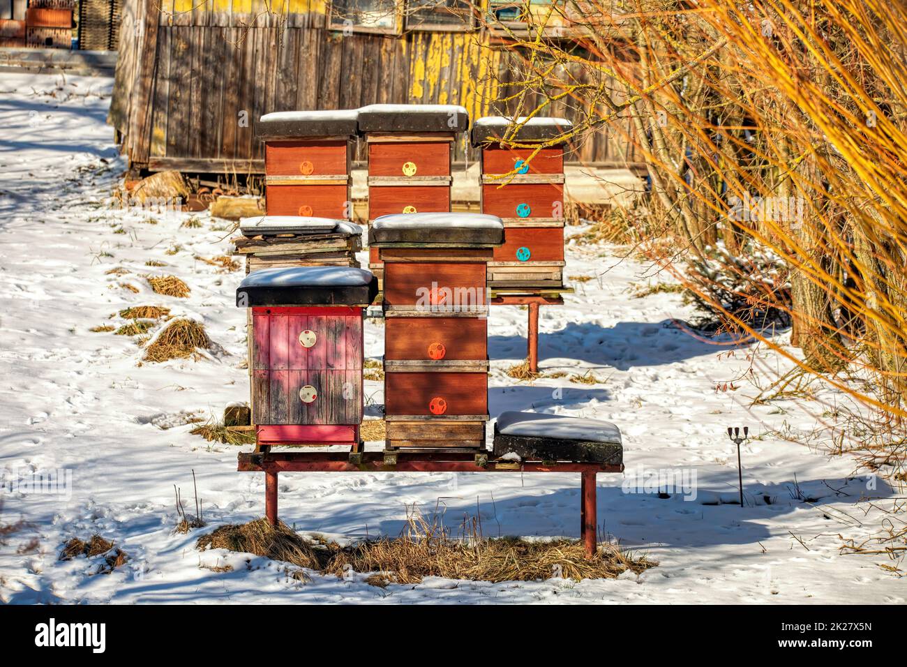 beehives in the winter garden Stock Photo - Alamy