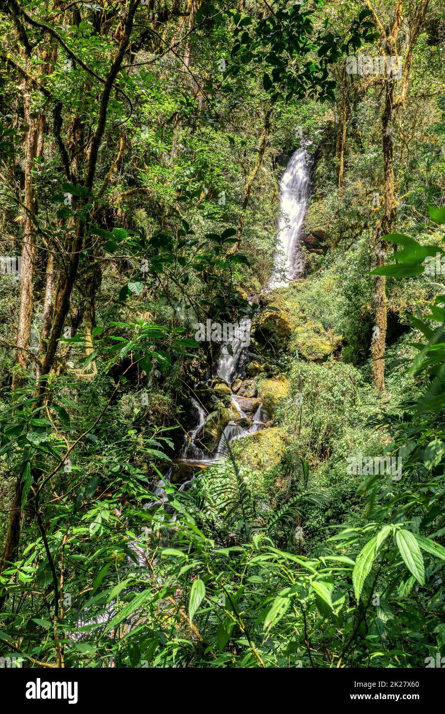 Waterfall on wild mountain river. San Gerardo de Dota, Costa Rica Stock ...
