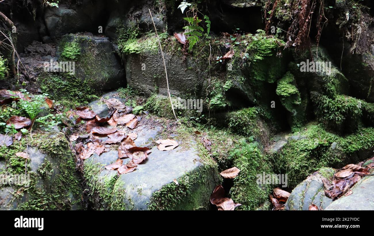 Landscape of a mountain river in the forest in early autumn and late ...