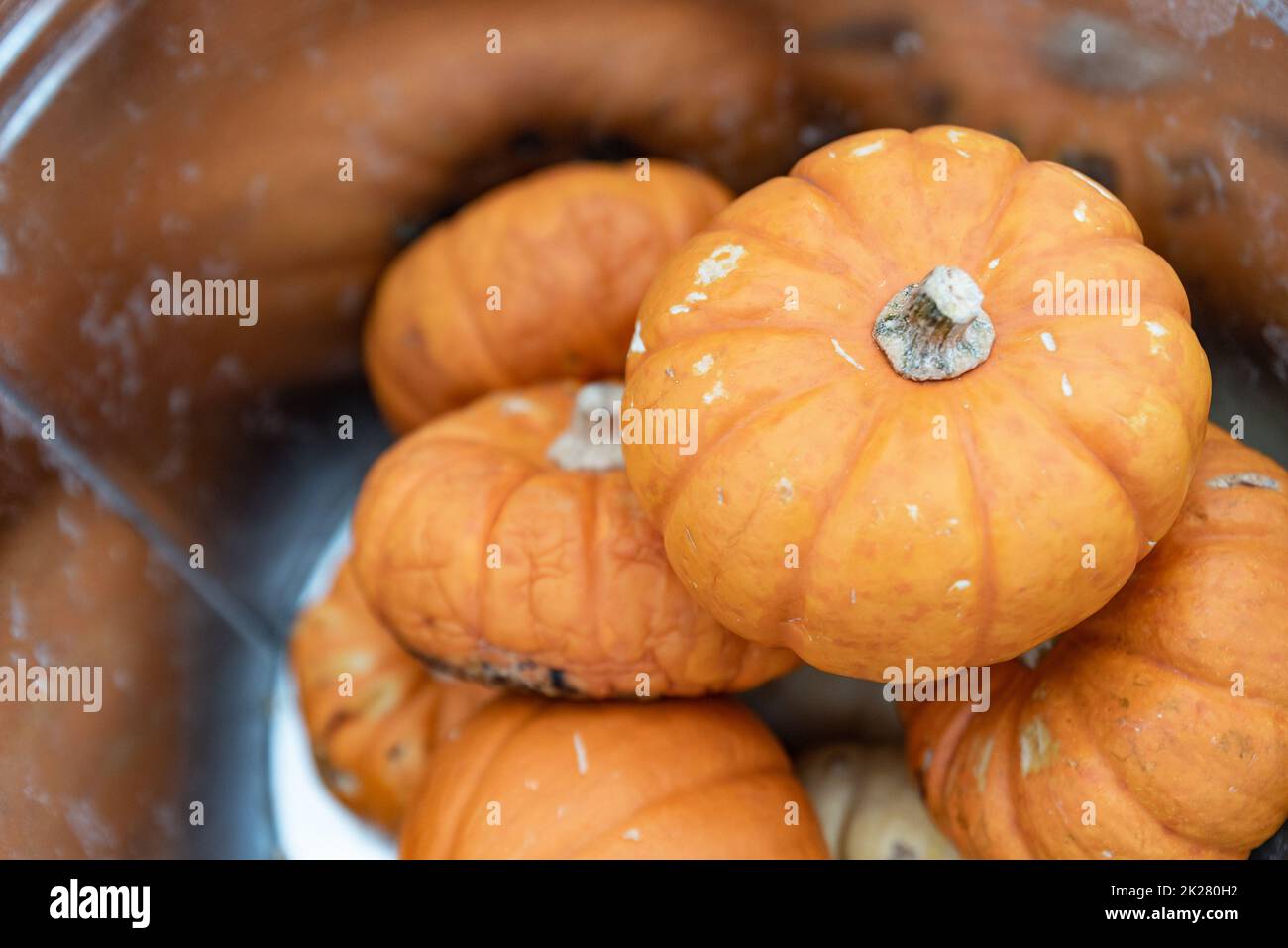 Small pumpkins in a metal bucket. Autumn harvest. Orange decorative ...