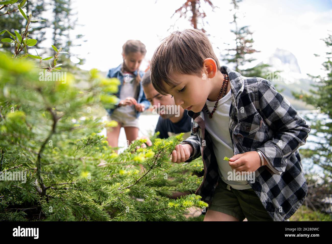 Boy touching tree in forest hi-res stock photography and images - Alamy