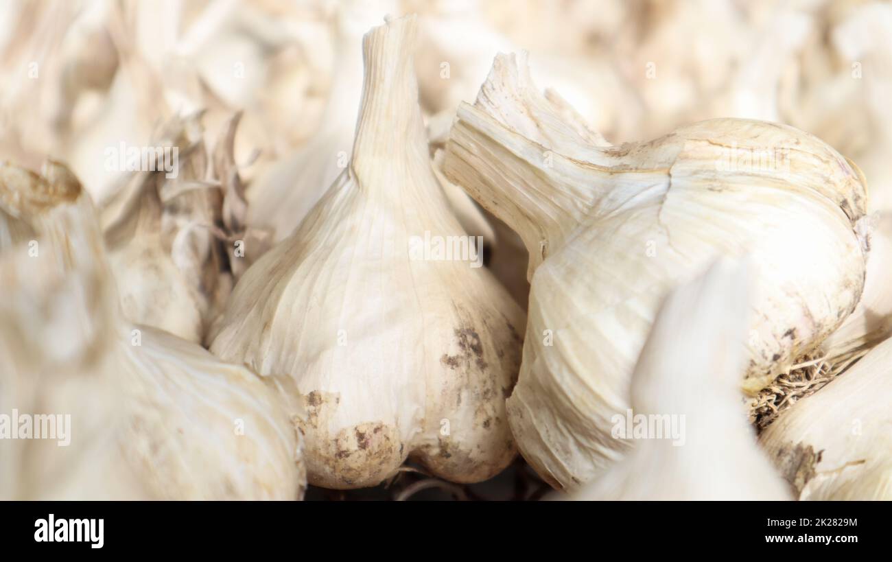 High lot hi-res stock photography and images - Alamy