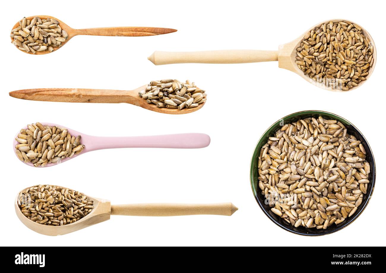 White thistle seeds Cut Out Stock Images & Pictures - Alamy