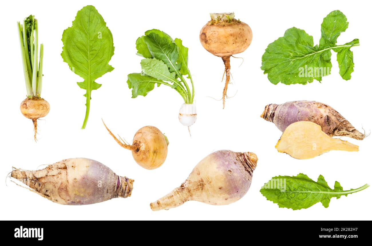 Baby turnips hi-res stock photography and images - Alamy