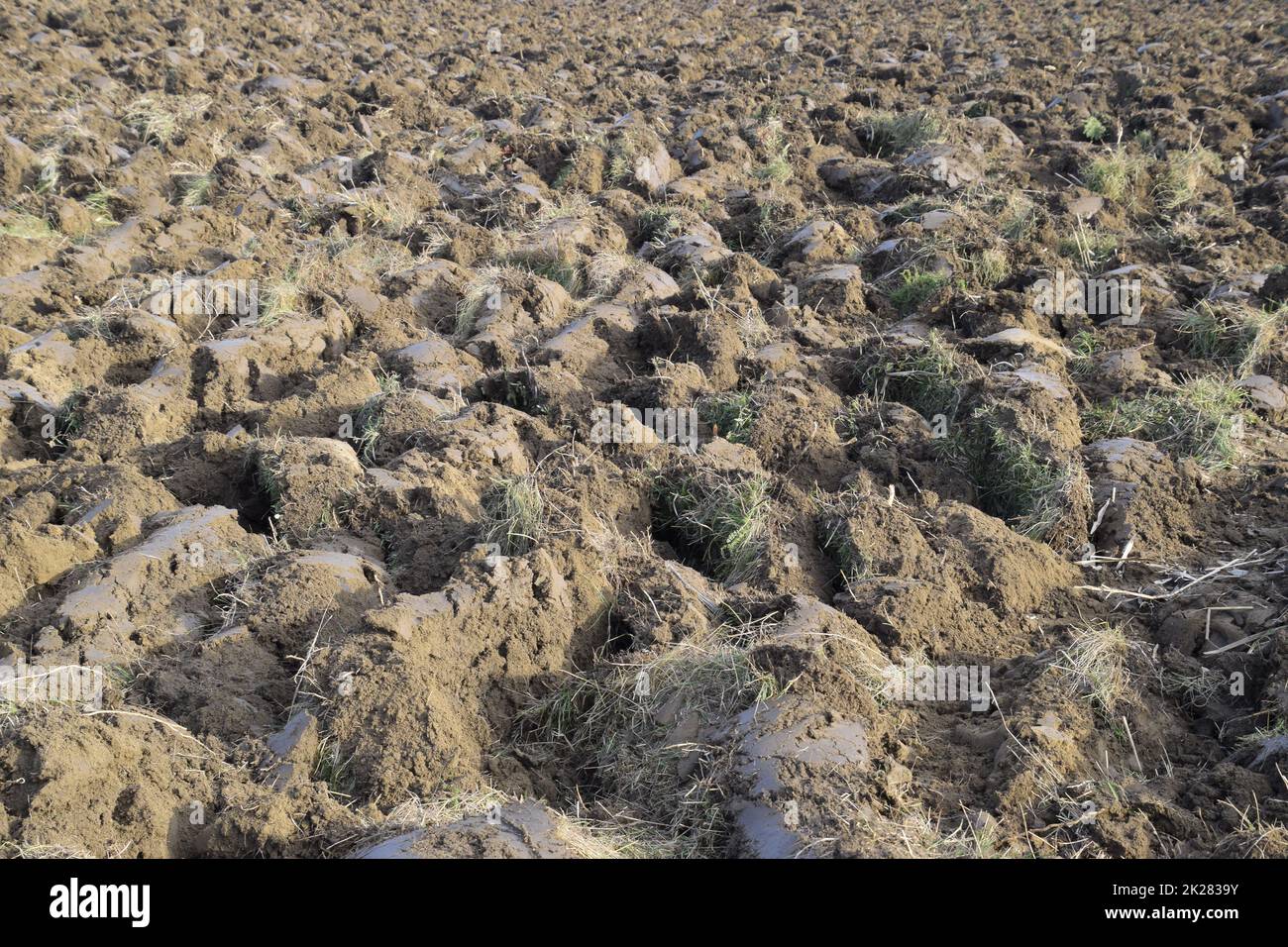 Treatment of soil hi-res stock photography and images - Alamy