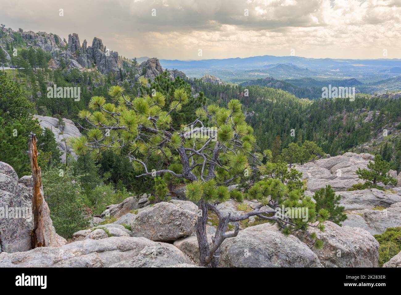 Needles Highway, Custer State Park, South Dakota, USA Stock Photo - Alamy