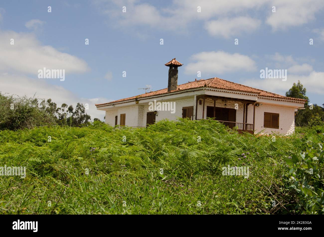House surrounded by buildings hi-res stock photography and images - Alamy