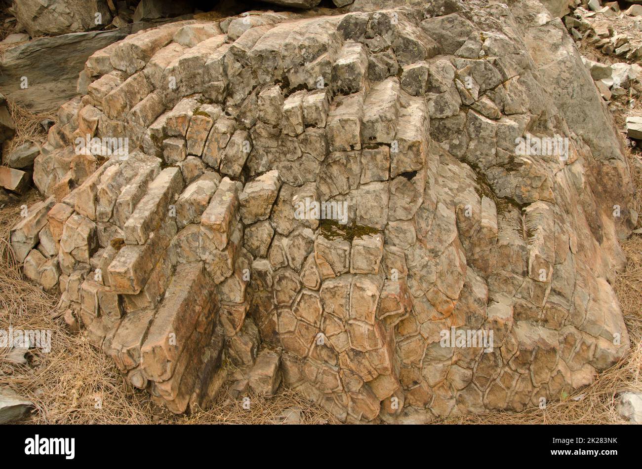 Rock with hexagonal basalt columns Stock Photo - Alamy Rock with hexagonal basalt columns Stock Photo - Alamy