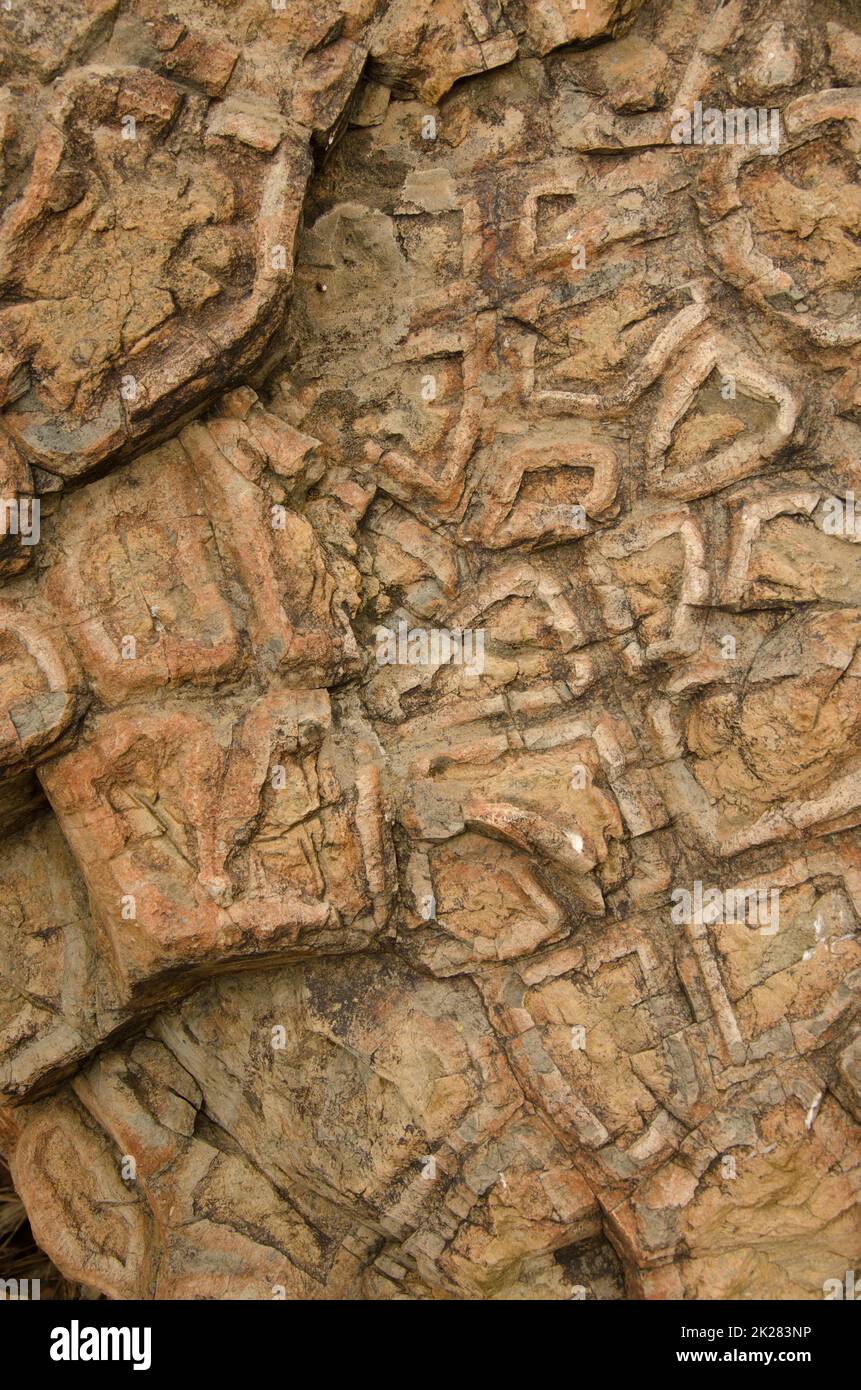 Rock with hexagonal basalt columns Stock Photo - Alamy Rock with hexagonal basalt columns Stock Photo - Alamy