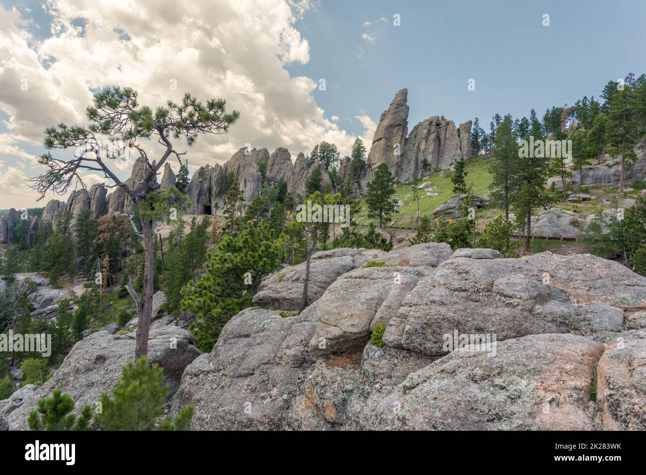Needles Highway, Custer State Park, South Dakota, USA Stock Photo - Alamy