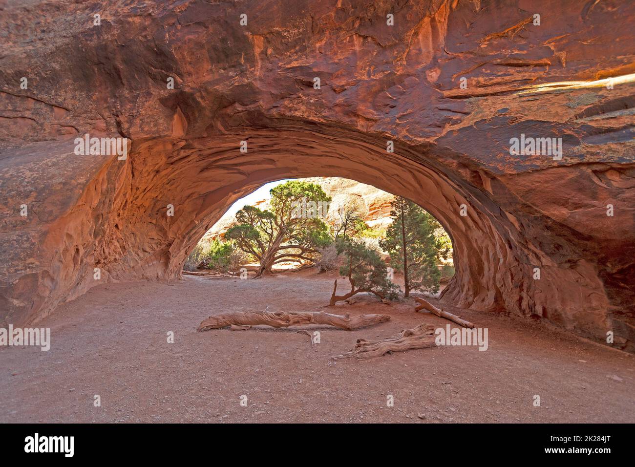 Window through the trees hi-res stock photography and images - Alamy