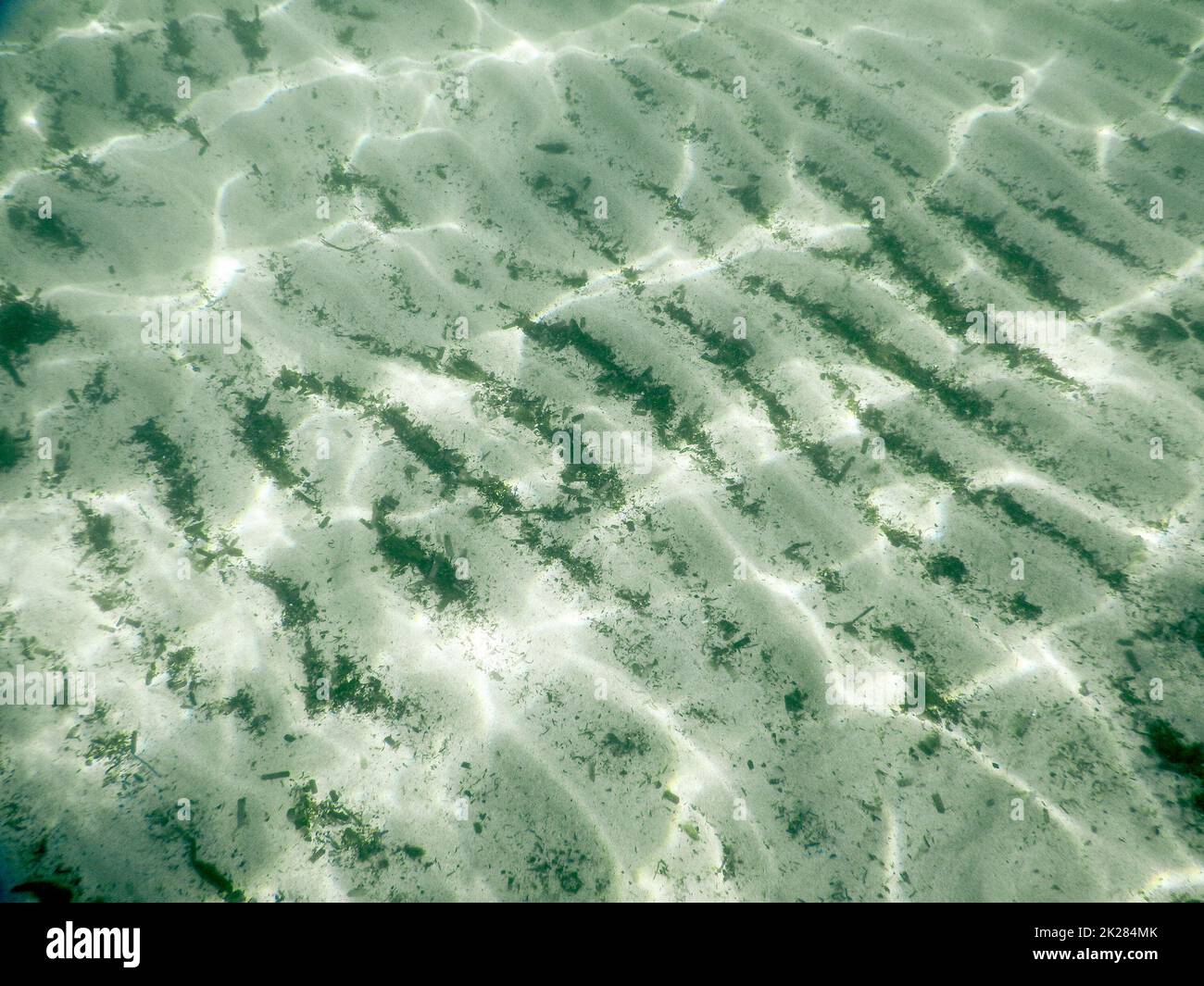 A white sand bottom in Salento beautiful sandy beach, Italy Stock Photo ...