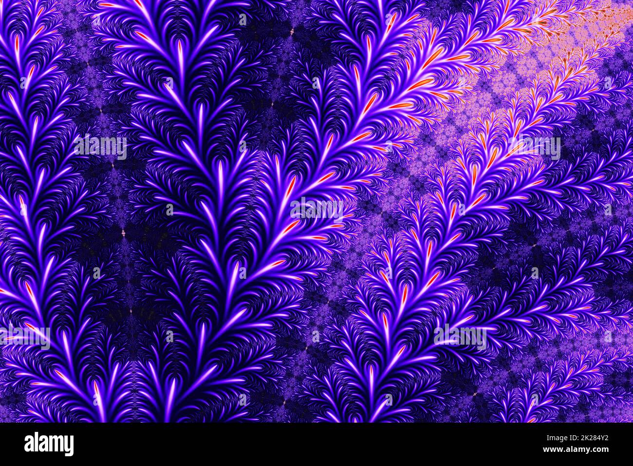 Fractal patterns hi-res stock photography and images - Alamy