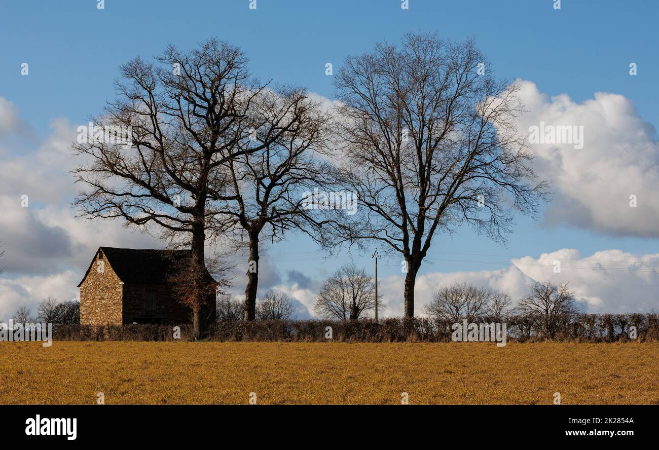 Landscape with old house and trees Stock Photo - Alamy