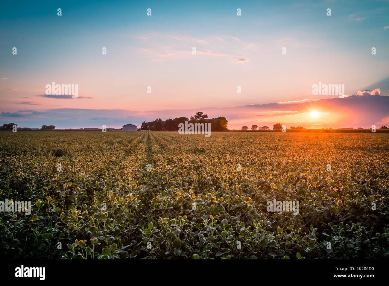 Sunrise Ranch Edgemont Sd