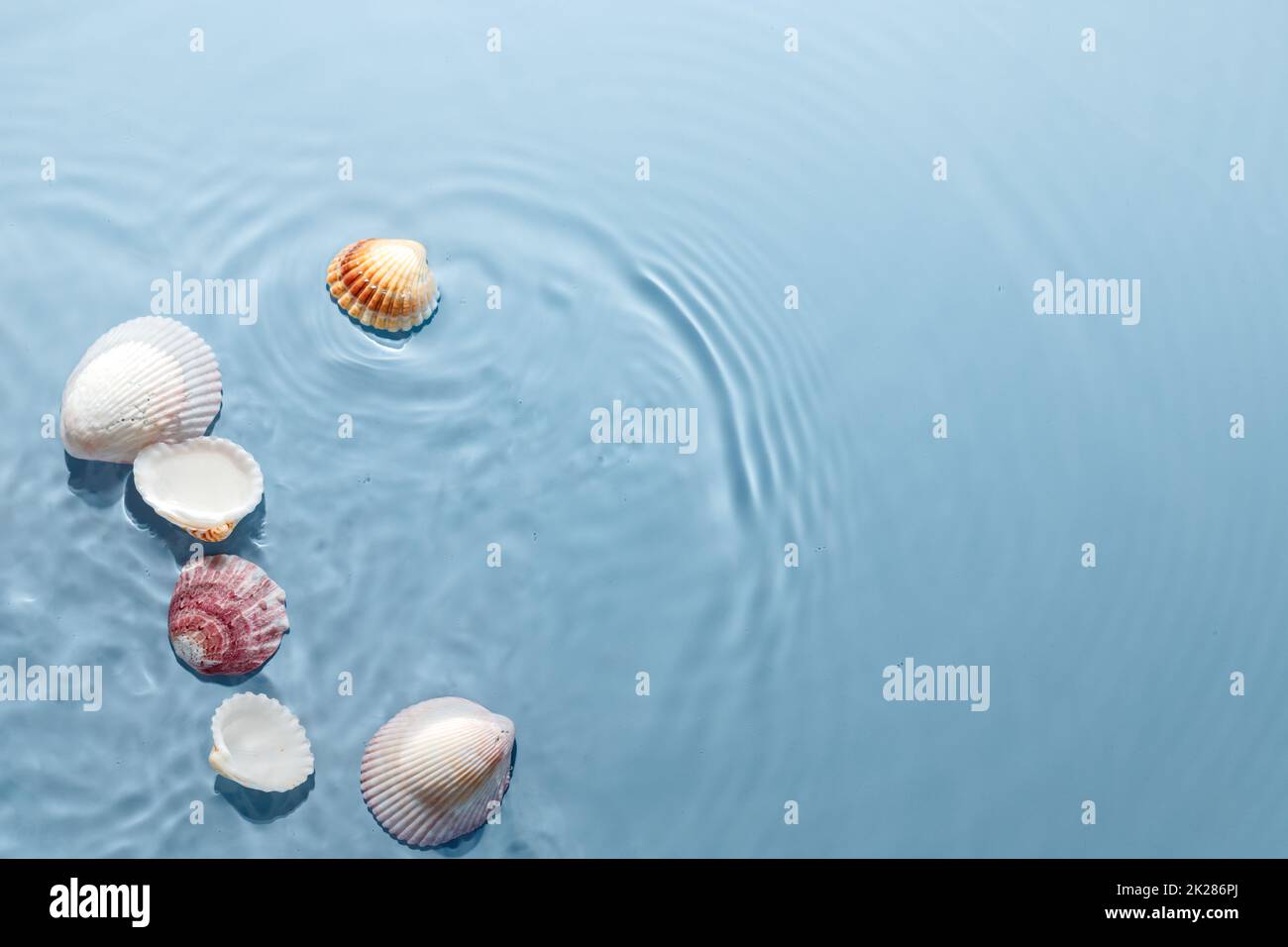 Blue sea ripple splash wave on with seashells. Chilling vacation blue ...