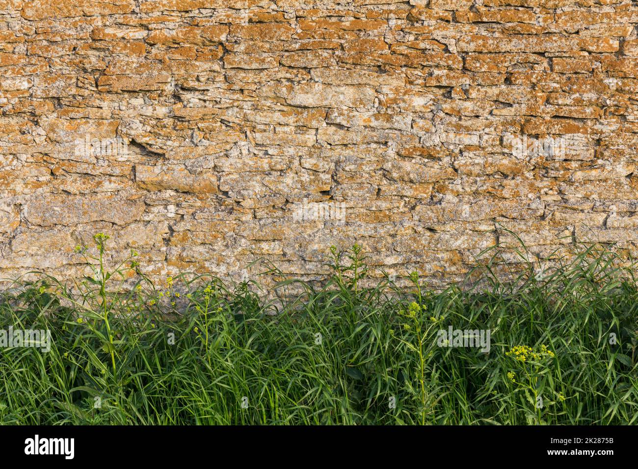 Grass stone wall hi-res stock photography and images - Alamy