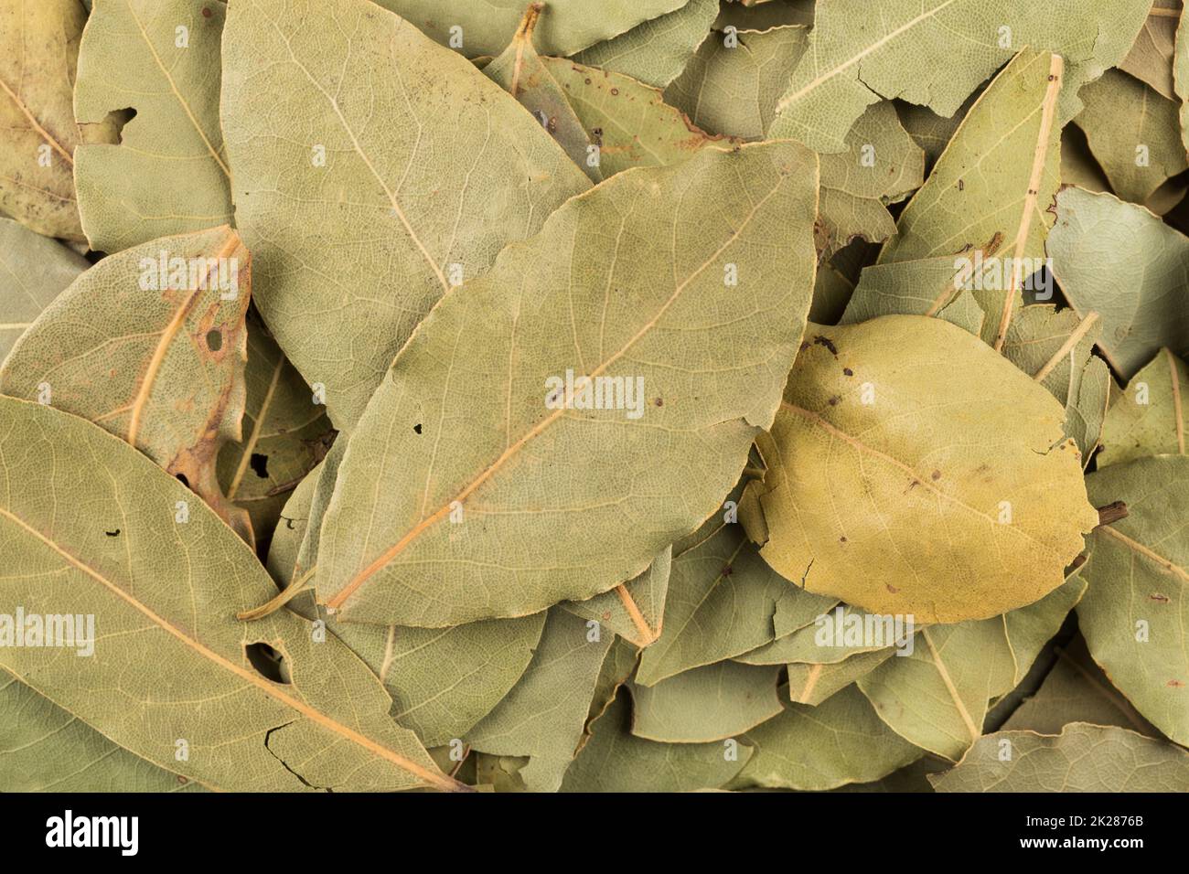 dry bay leaves background Stock Photo - Alamy