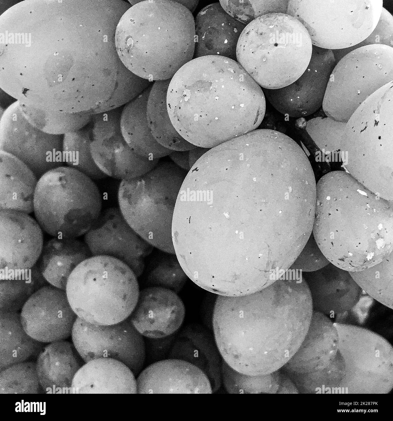 Beautiful grape hi-res stock photography and images - Alamy