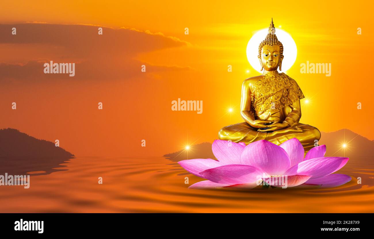 Buddha statue water lotus Buddha standing on lotus flower on orange ...