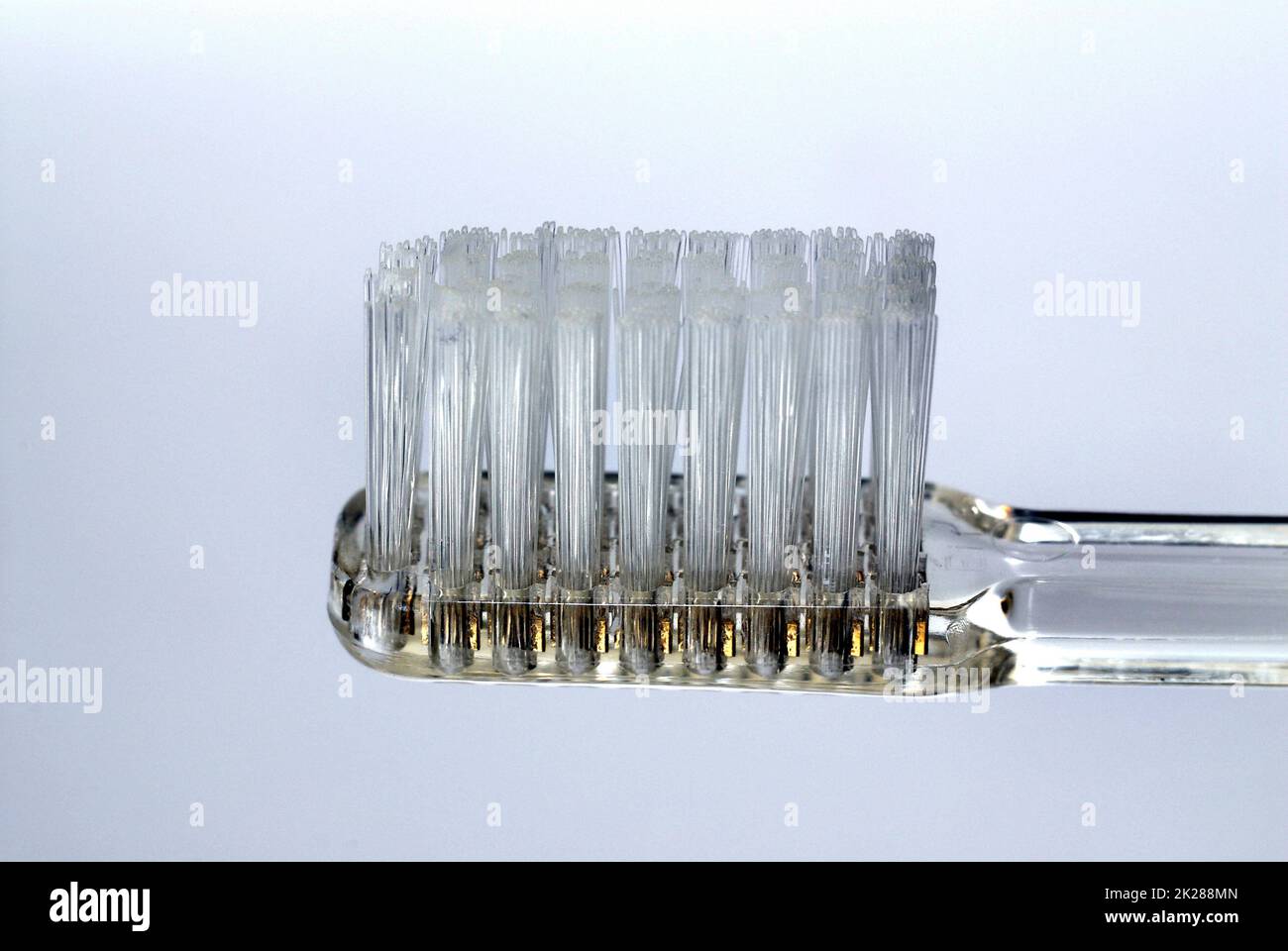 Dentistry studio hi-res stock photography and images - Alamy