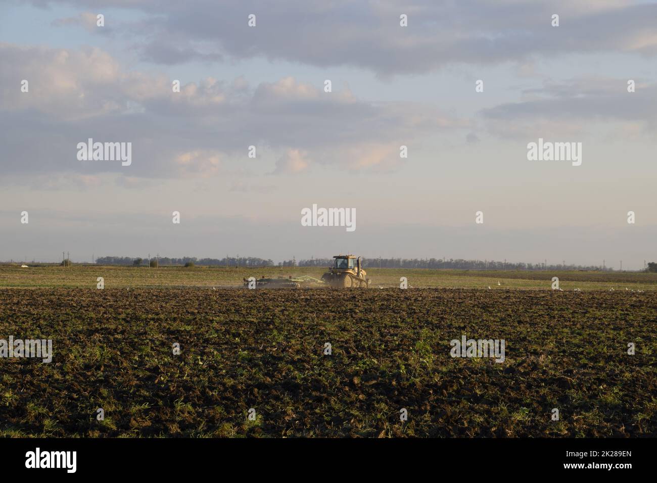 Tractor plowing plow the field. Tilling the soil in the fall after ...