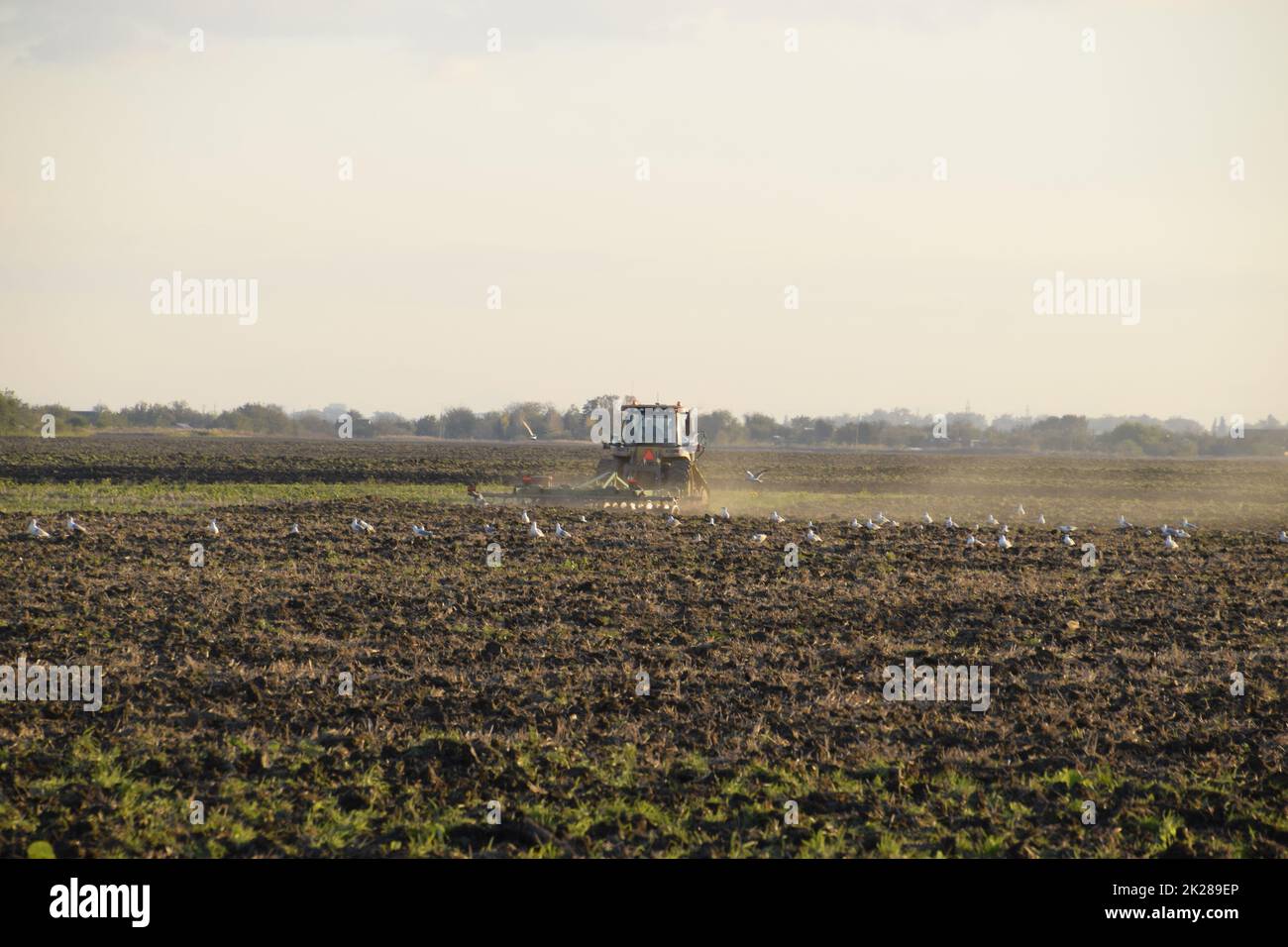 Plow the soil hi-res stock photography and images - Alamy