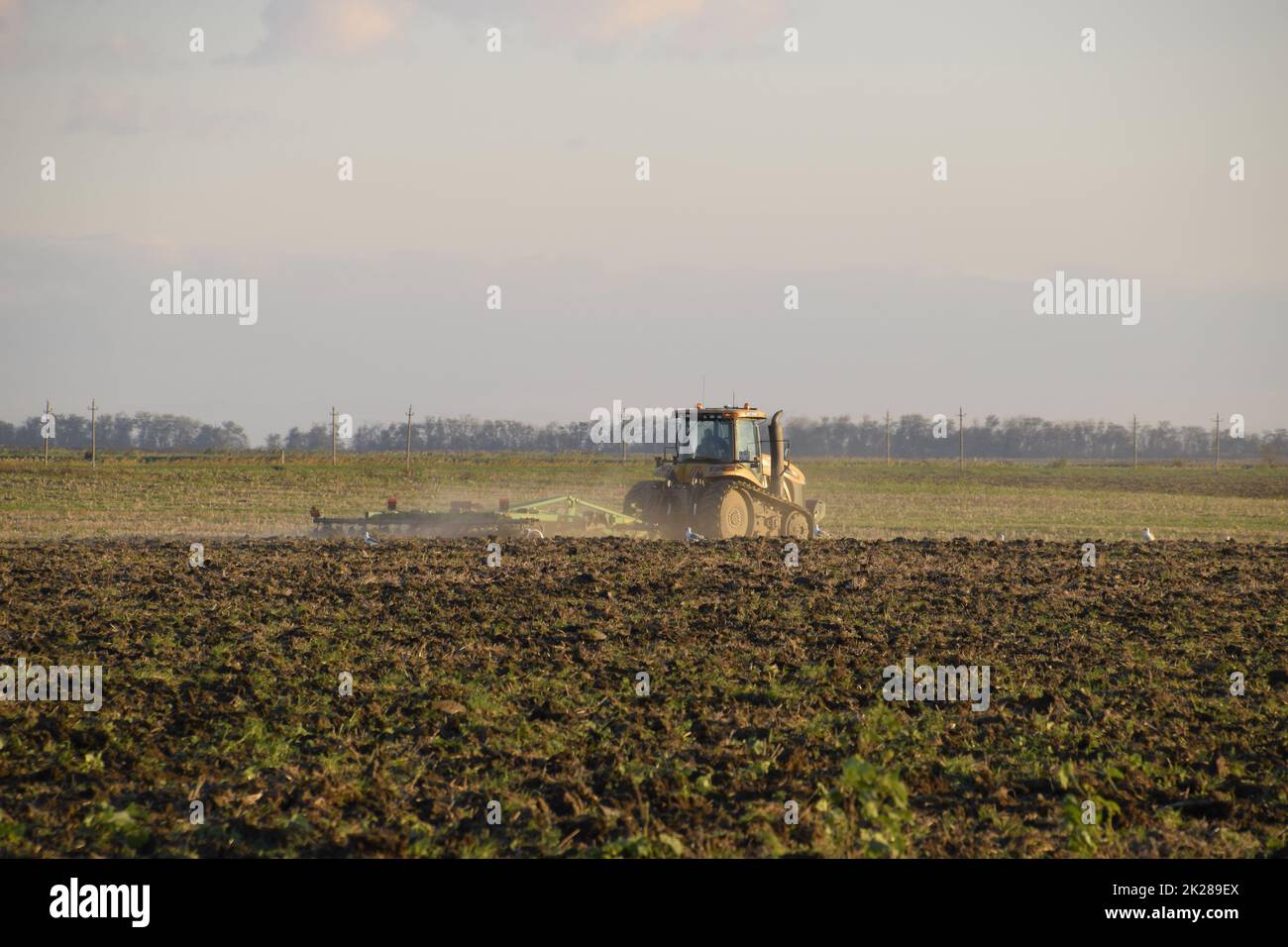 Tractor plowing plow the field. Tilling the soil in the fall after ...