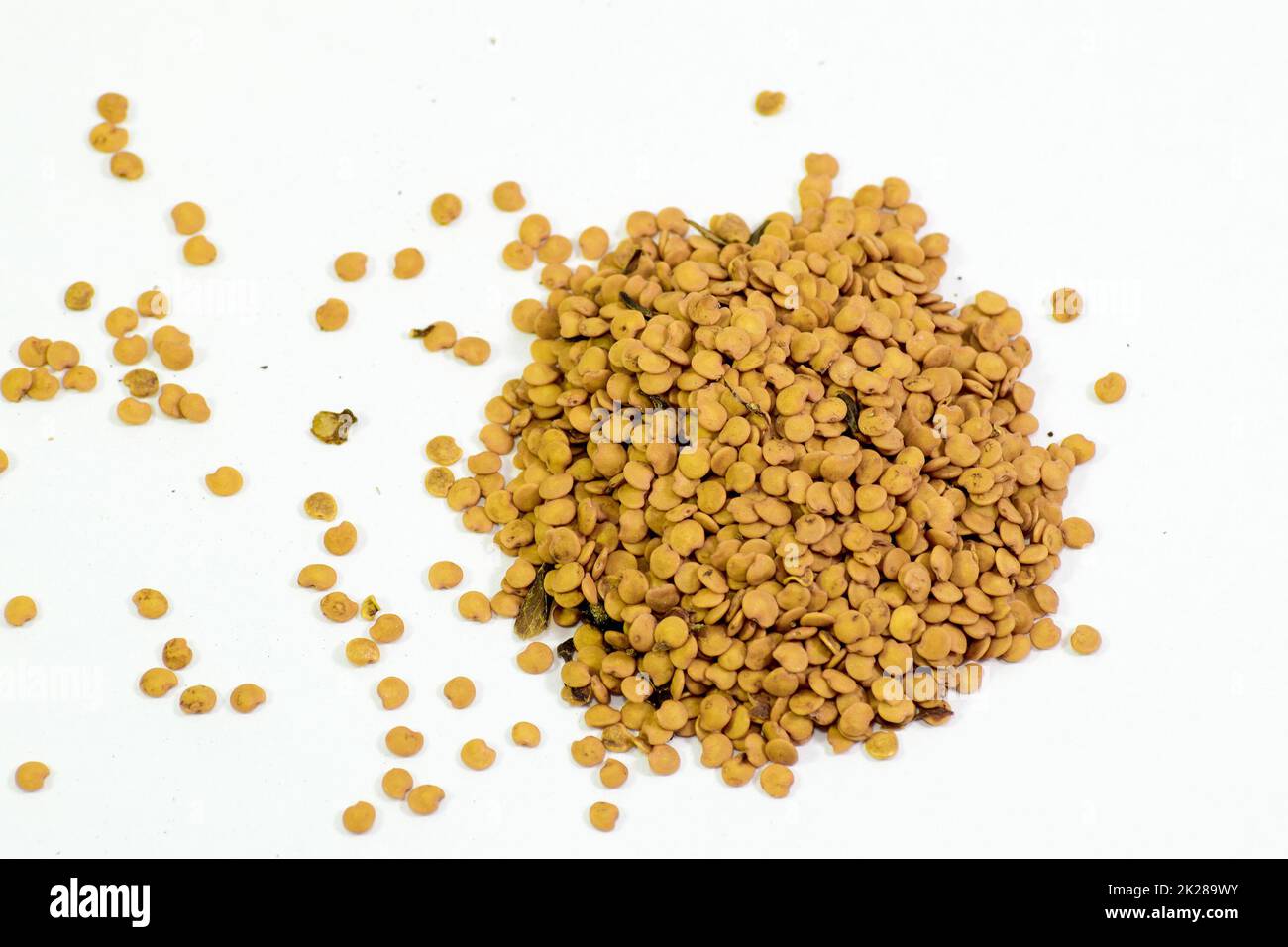 Seeds of tomato. Seeds suspended for sowing. Tomato seeds Stock Photo ...