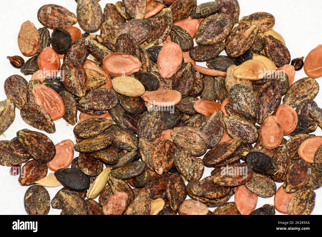 Seeds of watermelon on a white background. watermelon seeds for sowing ...
